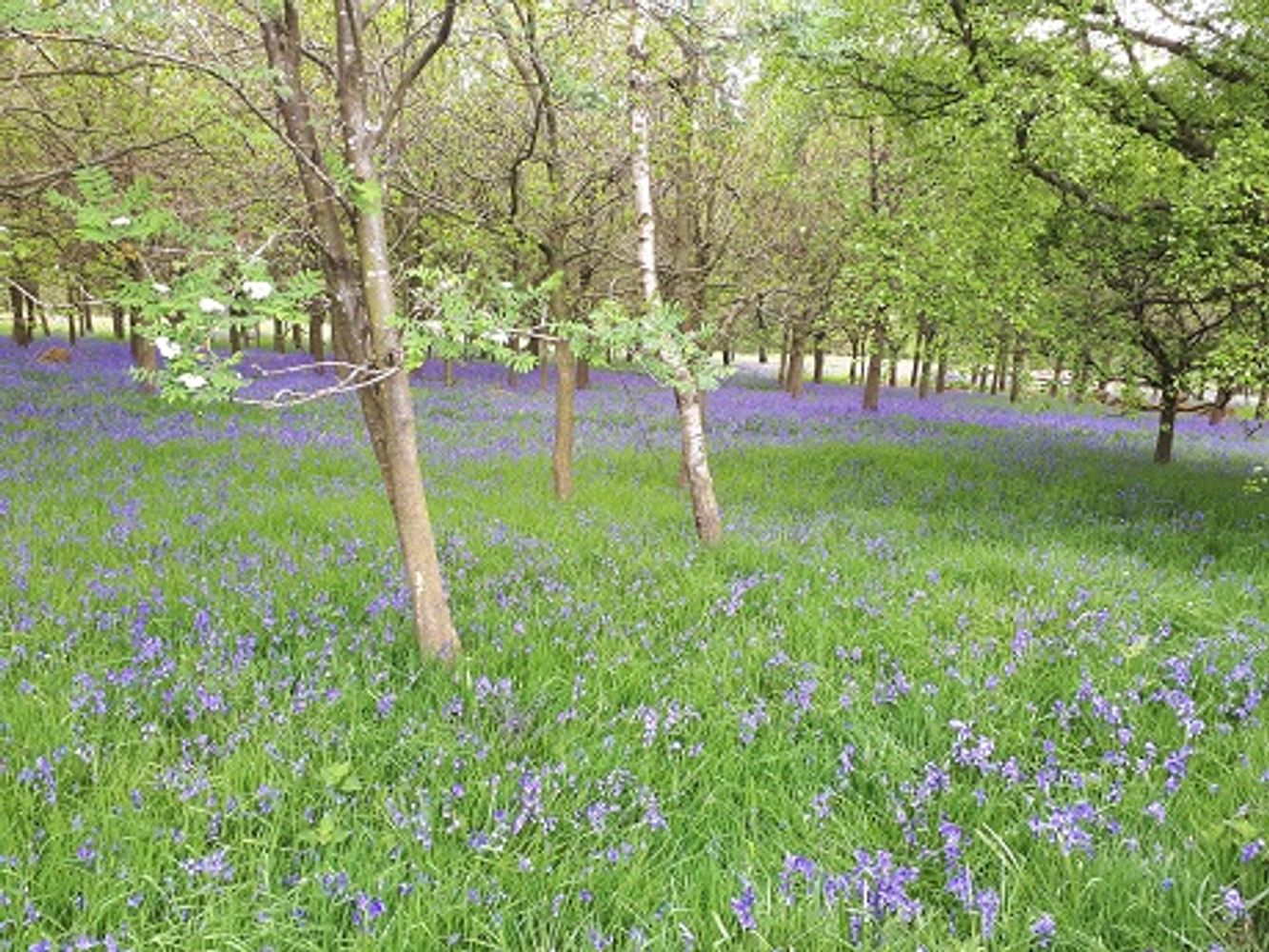 Beyonk | Joe Cornish Spring Photography Workshop April 2023