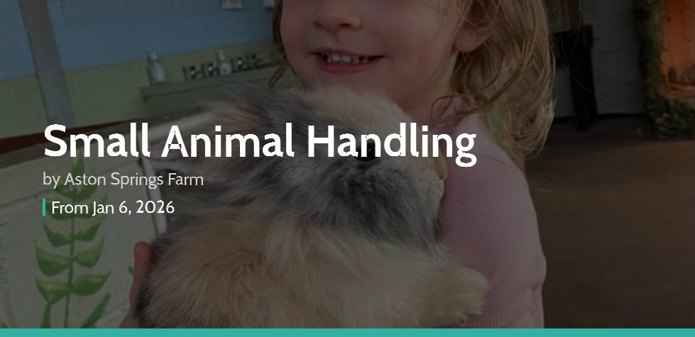 Beyonk | Small Animal Handling