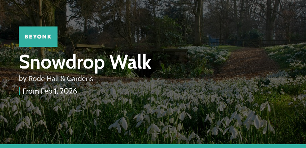Beyonk | Snowdrop Walk